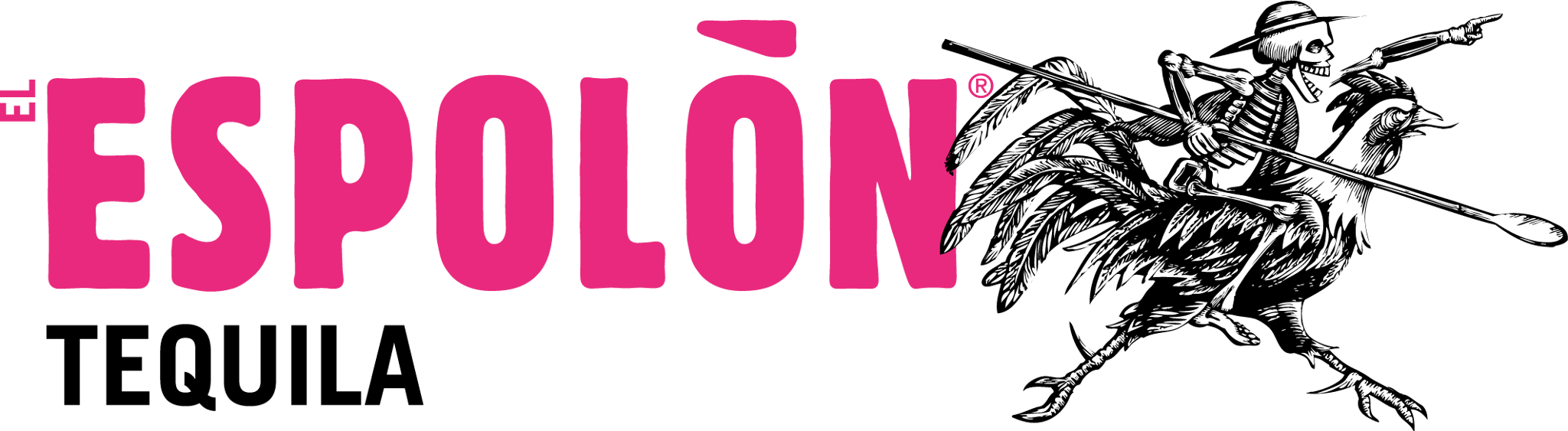 Best Volunteer Organizations Miami | Events